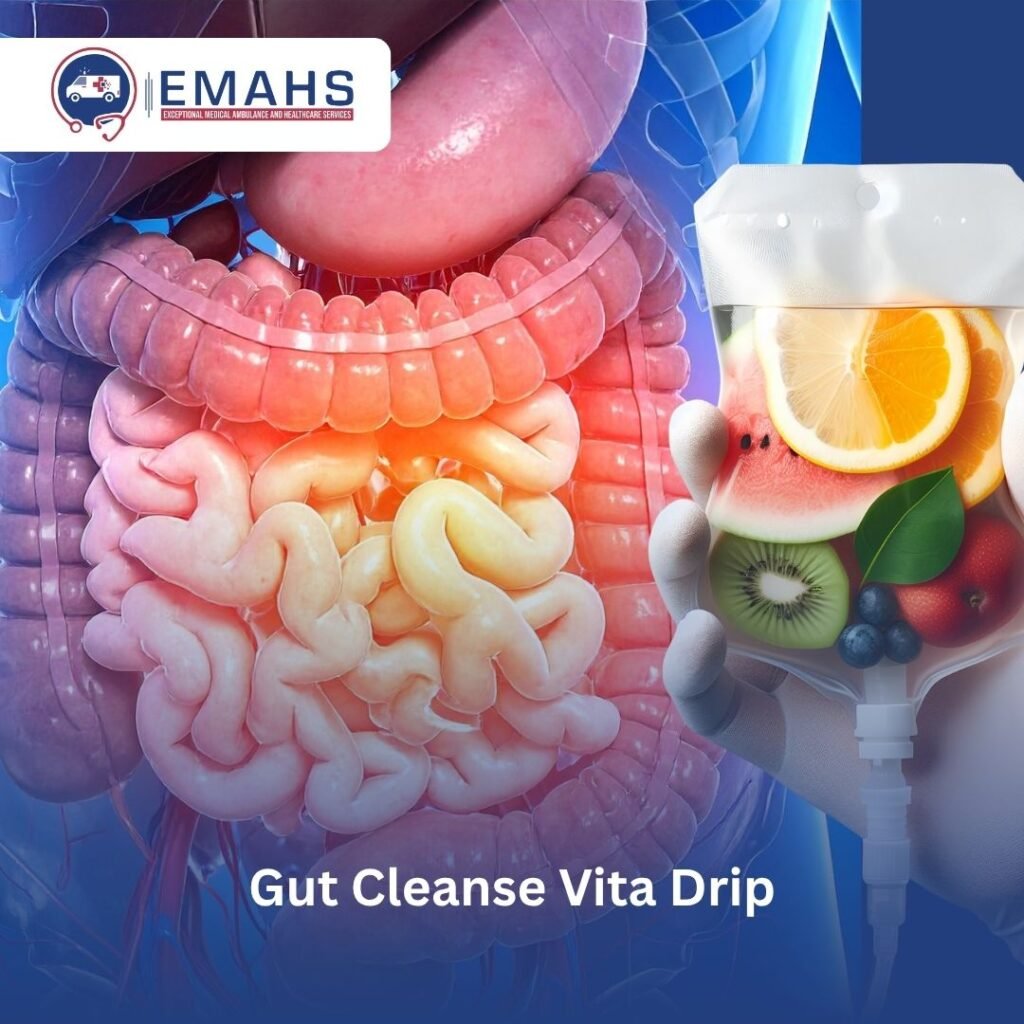 Gut Cleanse Vita Drip Therapy Dubai EMAHS Care